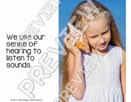 SENSE OF HEARING Read-Aloud Lesson & Activities BUNDLE - KINDERGARTEN ...