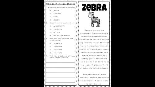 All About Zebras Nonfiction/Research Unit | Everything you need! by ...