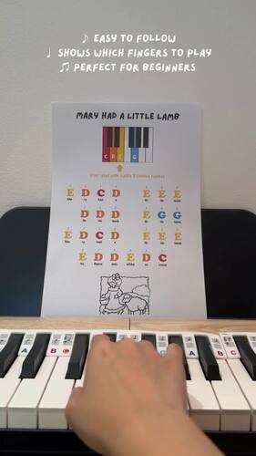 Mary Had A Little Lamb - Easy Song For Kids | Color Coded Sheet Music