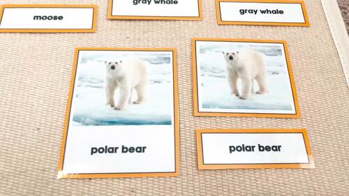 Animals of North America 3-Part Cards Activity Set by Little Montessori ...