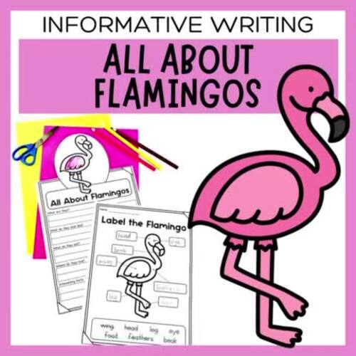 All About Flamingos Informative Writing | Science | Label The Flamingo