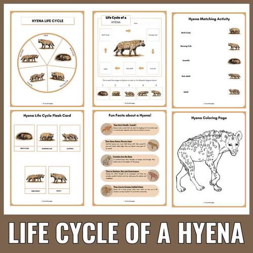 Hyena Life Cycle: African Savanna Mammal Animal Unit Study & Fun Facts!