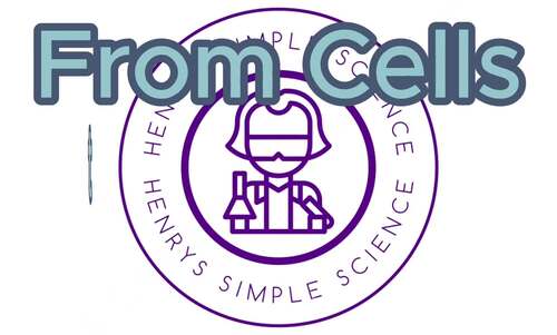 From Cells to Organ Systems - low ability/special ed/SEND | TPT