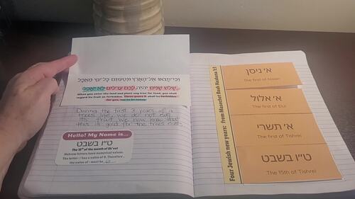 Jewish Holiday Interactive Notebook: Tu Bishvat by Morah Marci's Classroom