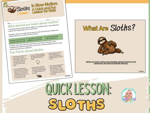 Sloths Quick Lesson All About Sloths Sloth Presentation Sloth Worksheet