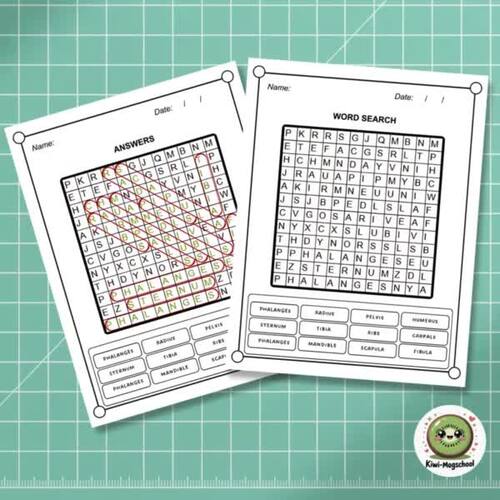 Human Skeletal System Anatomy Labeling | Bones of the Body (No Prep)