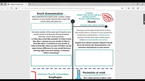 Human Body Systems Unit: Digestive System Activities by Scaffolded Science