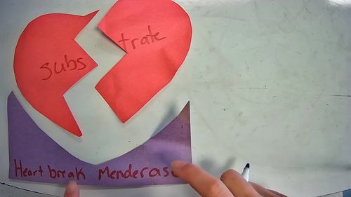 Enzyme Structure and Function - Modeling with Construction paper