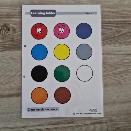 Colors/Toddler Preschool Learning Folder/File Folder/Game/Activity/Busy ...