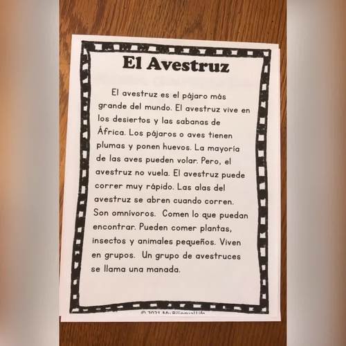 Ostrich Spanish Reading Comprehension Activity Digital & Printable Bundle