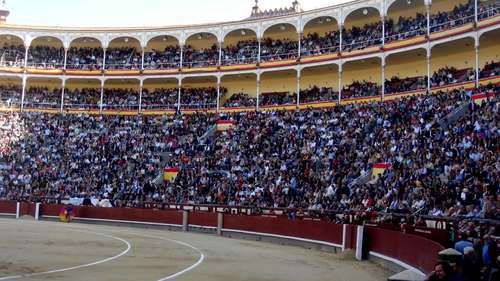 SOMOS 1 Unit 5 | Novice Spanish Curriculum | La corrida de toros