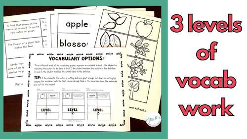 Apples and Pumpkins Theme Unit for Special Education and Autism Classrooms