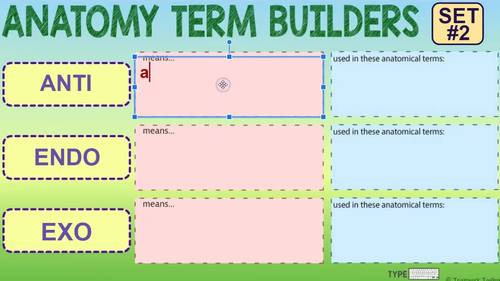 ANATOMY Root/Prefix/Suffix DIGITAL Resources For Google Drive~ VOLUME 2 ...