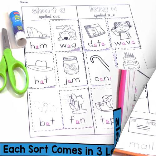 Differentiated Phonics Activities - Phonics Interactive Notebook ...