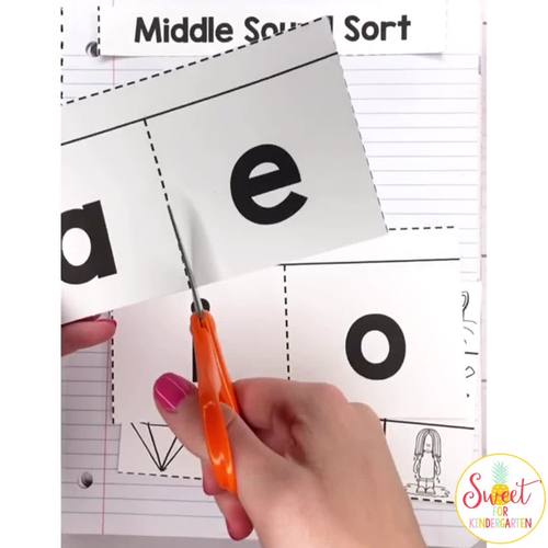 Phonics Interactive Notebook- Short Vowels and Middle Sounds | TpT
