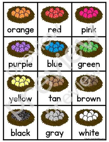 Birds and Nests Theme - Matching Colors Activity - Task Cards | TPT