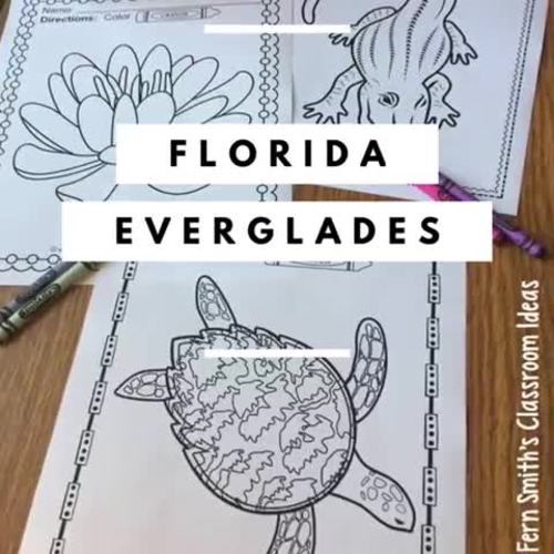 Florida Everglades Coloring Pages Dollar Deal - 25 Page Coloring Book ...