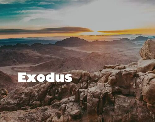 Exodus & Moses Bible Study Unit: Worksheets, Guided Notes, Test ...