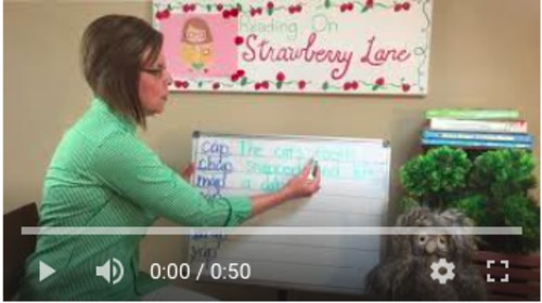 VIDEO: Reading: Set 1. Lesson 11. Word Family Pattern -ap | TPT