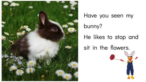 My Bunnies Long e vowel teams ee and ea Beginning Reader and Writing Prompt