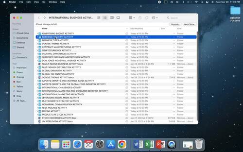 International Business Activities Bundle by Strictly Business | TPT