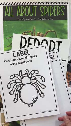 All about Spiders Nonfiction Informational Text Unit Reading Comprehension