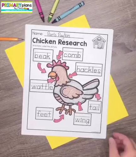 Chicken Research Project by Primary Plans by Paris | TPT