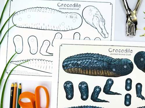 Crocodile | Jointed Animal Craft | Articulated Craft | Crocodiles