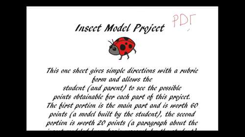 INSECT MODEL PROJECT Building Model, Simple Research & Writing ...