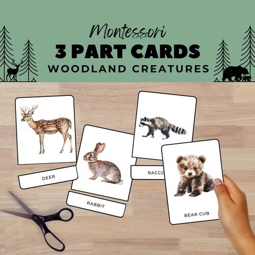 Woodland Creatures Montessori 3-Part Cards, Forest Animal Vocabulary