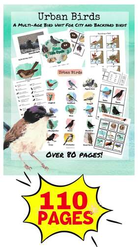 Birds Unit & Lesson Plan: Life Cycle, Facts, Writing Pages, Flashcards ...