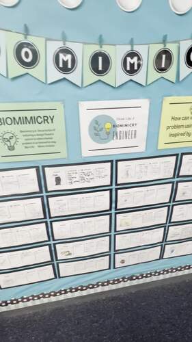 NGSS Environments & Survival Biomimicry Bulletin Board & Focus Wall
