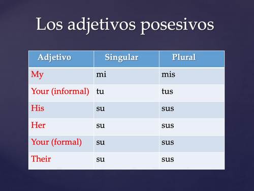 Los adjetivos posesivos Spanish Possessive Adjectives PowerPoint ...