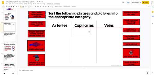 Circulatory System and Respiratory System Lesson | TpT