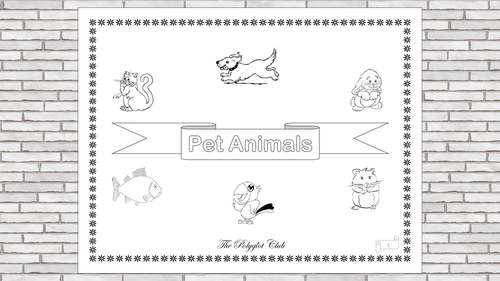 Coloring Book with Didactic Activities - Animals (English) by The ...