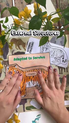Animal Adaptation and Survival Flip Book: Structures and Functions NGSS ...