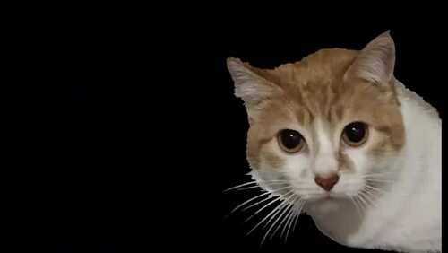 St. Patrick's Day Search for the Leprechaun Reading Comprehension (BOOM ...