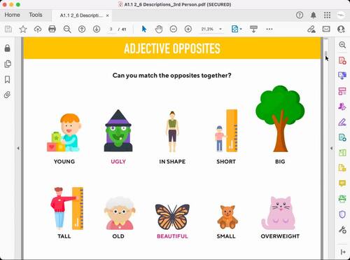 ESL Beginners Lesson: Learn Basic Descriptions with in the Third Person