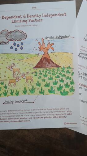 Density Independent & Density Dependent Limiting Factors Work Packet ...