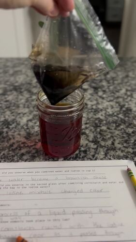 Osmosis Lab by Science Solvers | TPT