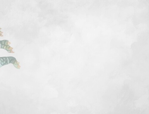 Chinese Baby Dragon Clipart by DonDaniDoodles | TPT