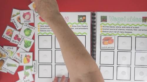 My Nutrition Interactive Book, Sort 54 Photo Food Cards into 6 Food Groups