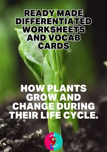 Elementary Science HOW PLANTS GROW AND CHANGE Differentiated Activity ...