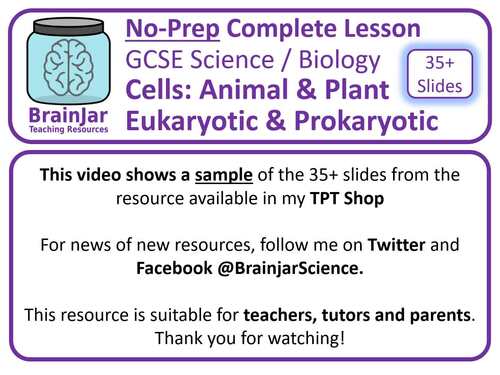 Eukaryotic, Prokaryotic, Animal and Plant Cells by Brainjar | TPT