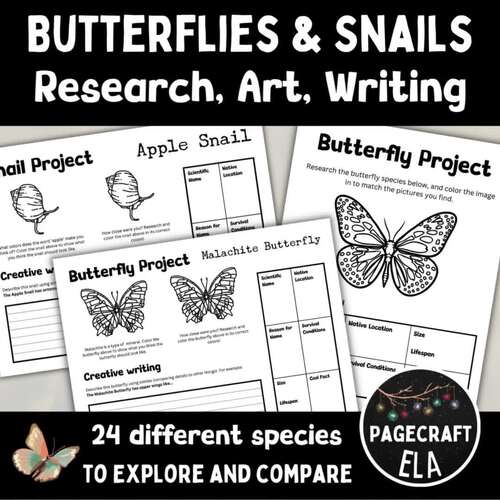Butterfly and Snail Project – Research, Coloring, and Creative Writing