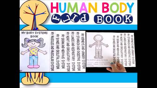 Human Body Systems Flip Book by Stephanie Trapp | TPT Human Body Systems Flip Book by Stephanie Trapp | TPT