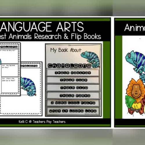 Animals Research Flip Books For Rainforest Animals by Kelli C | TPT