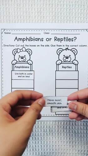 Amphibians or Reptiles? Cut and Paste Sorting Activity by Taketing Academy