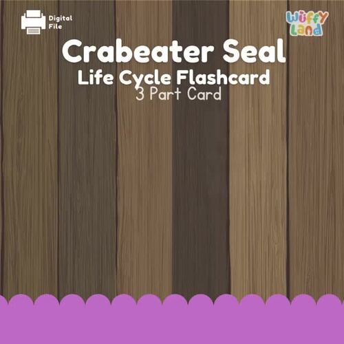 Crabeater Seal Life Cycle Activity Pack & Montessori 3-Part Cards ...