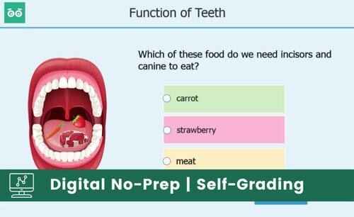Types of Teeth | Functions & Uses | Science Lesson & Activities | 1st ...